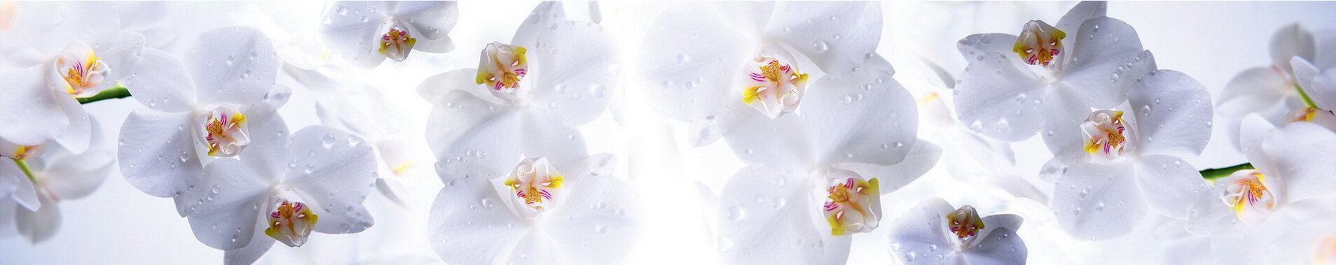 Кухонный фартук/стеновая панель МДФ для кухни 2800*600*6мм "MG-08"