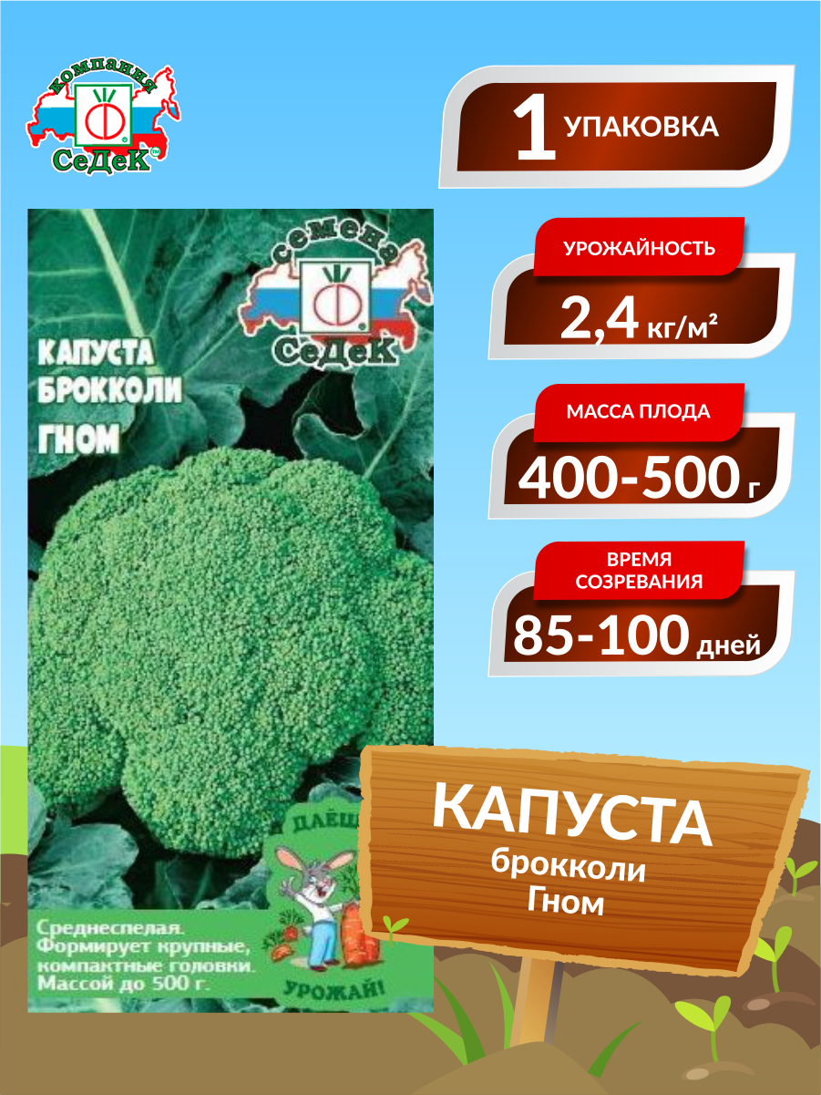 Семена Капуста Брокколи Гном ДУ Среднеспелые 0,3 гр.