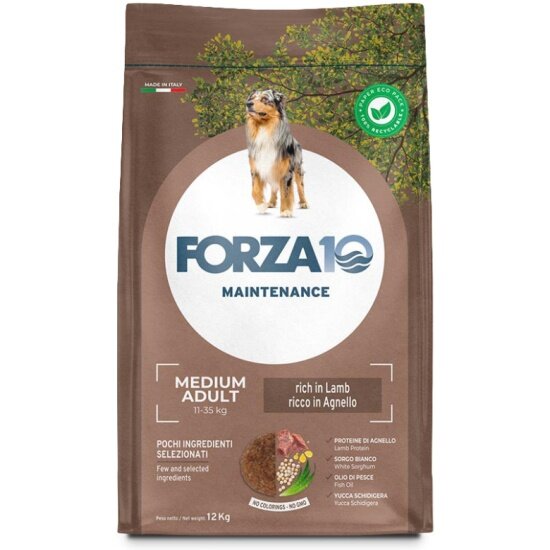 Корм сухой FORZA10 Maintenance Medium Adult для взрослых собак средних пород с ягненком и рисом, 12 кг