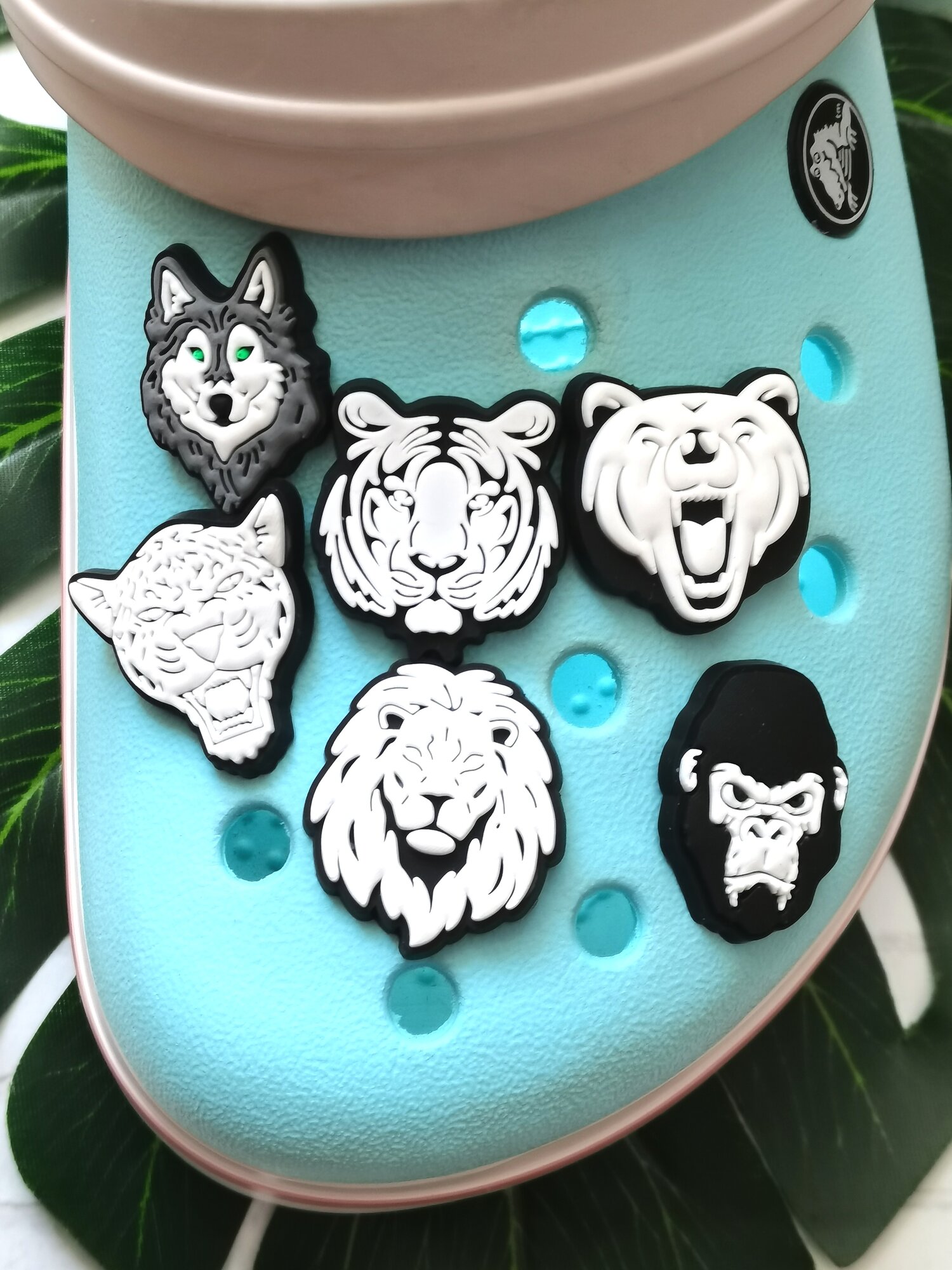 Джиббитсы белые животные