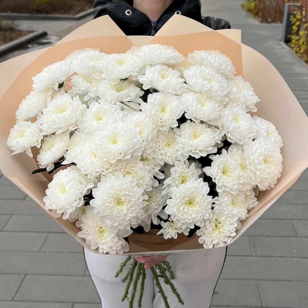 Большой букет из белых кустовых хризантем, 9 штук в матовой пленке - Plaza Flowers