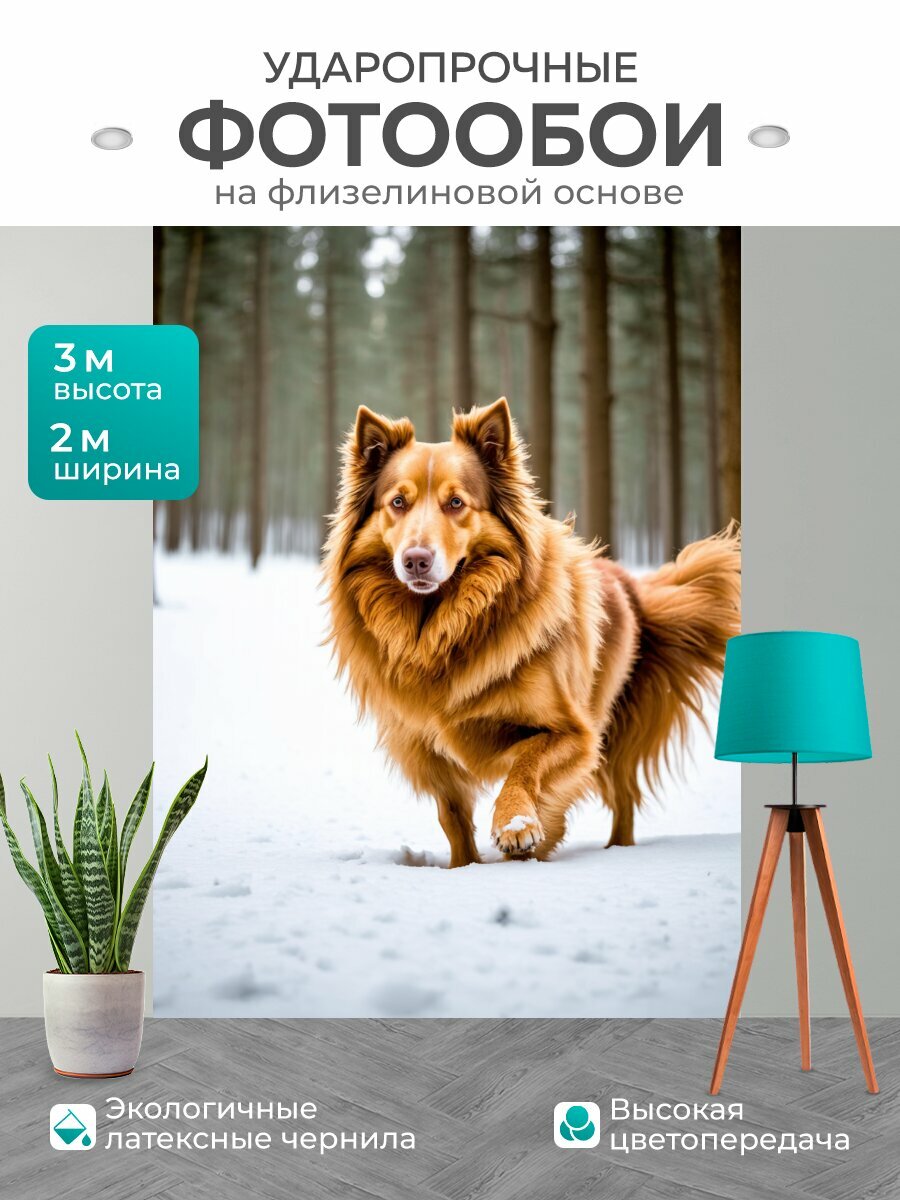 Фотообои моющиеся ударопрочные "Пес с длинной шерстью, играющий в снежном лесу" 200x300 см. флизелиновые на стену