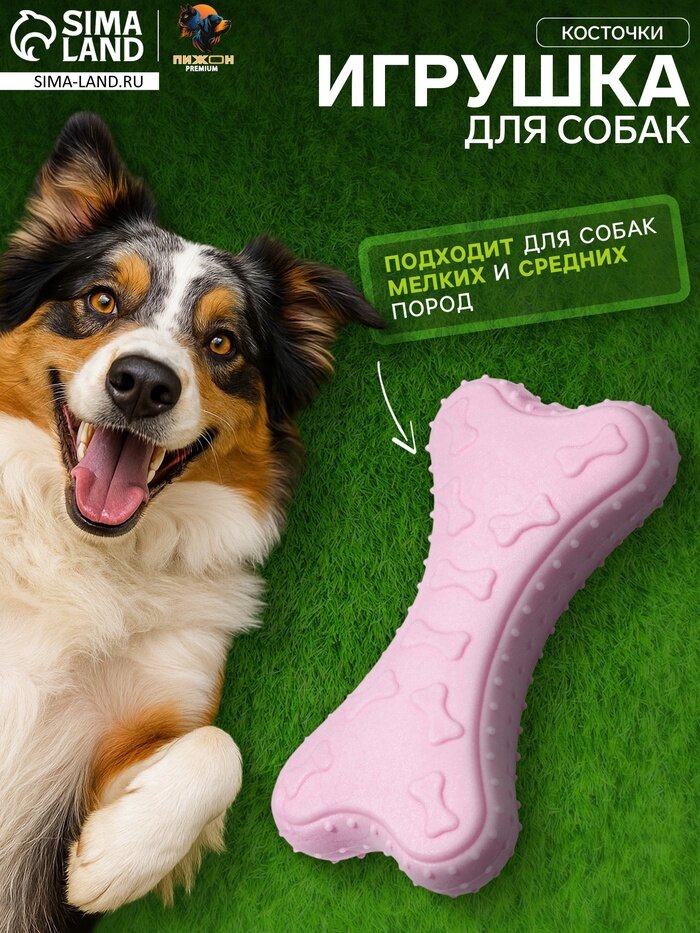 Плавающая игрушка для собак Пижон Premium Косточки, 10.5×5.5×2 см, вспененный TPR, розовая