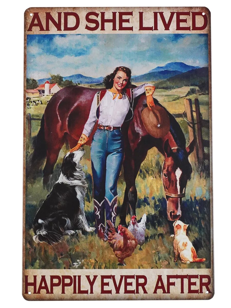 Sweethorse / Винтажная металлическая Картина, размер 20х30см