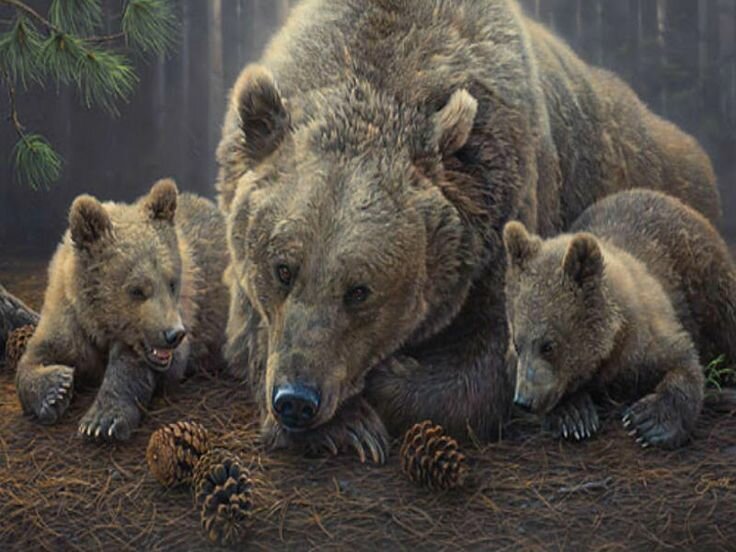 Картина по номерам "Семья медведей"