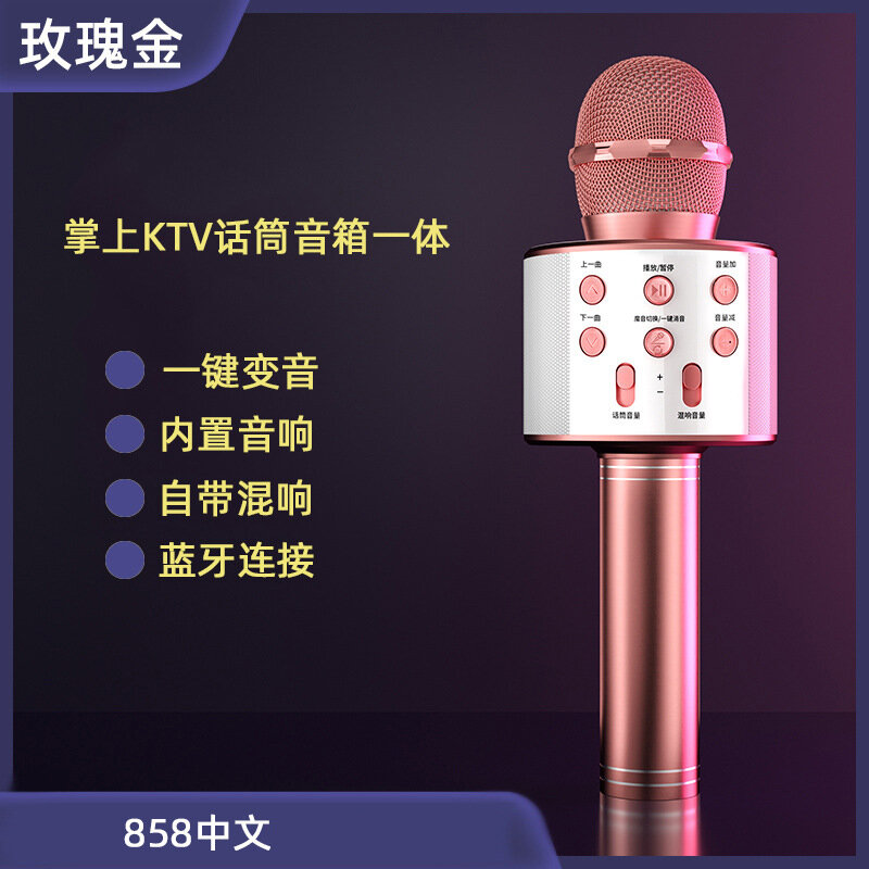 SG Горячая продажа микрофона и динамика, интегрированный микрофон для домашнего караоке, детский беспроводной Bluetooth KTV, универсальный кросс-бордер WS858