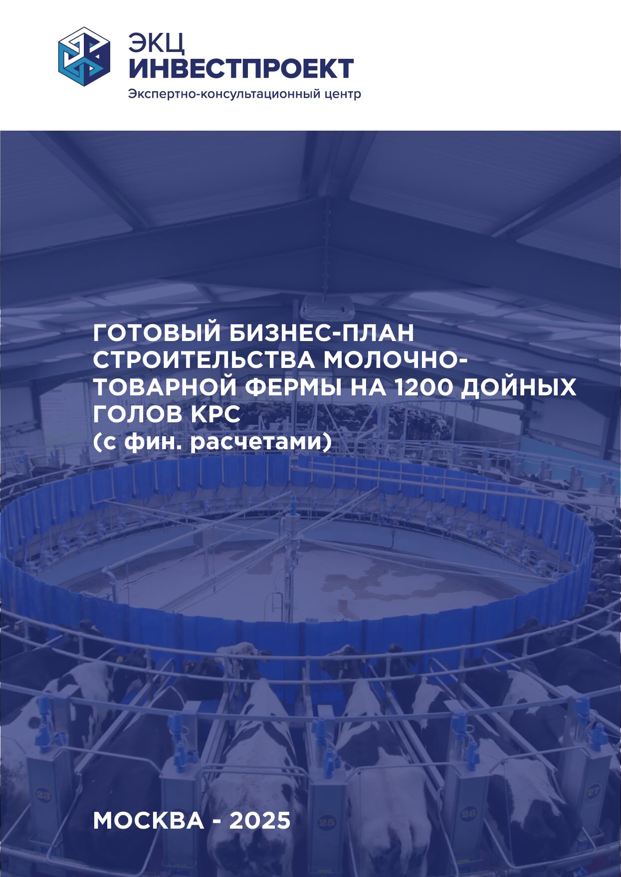 Готовый бизнес-план строительства молочной фермы КРС (с маркетингом и расчетами)