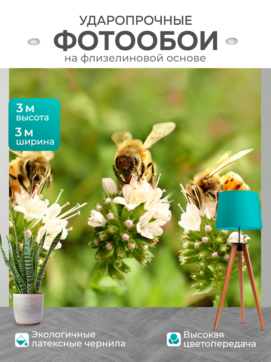 Фотообои моющиеся ударопрочные "Пчелы, насекомые, цветочная пыльца" 300x300 см. флизелиновые на стену