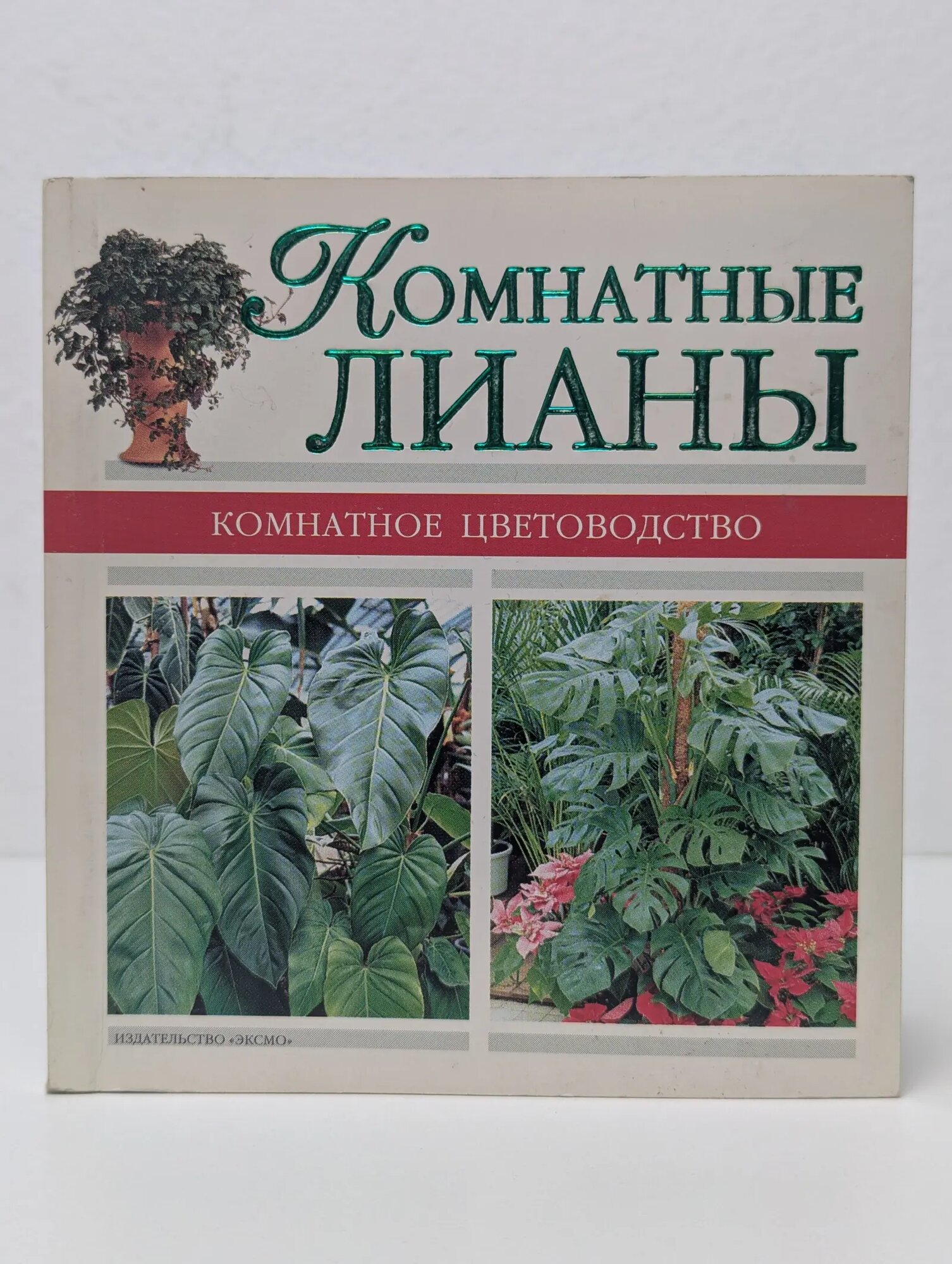 Комнатные лианы. Комнатное цветоводство Сборник 2005