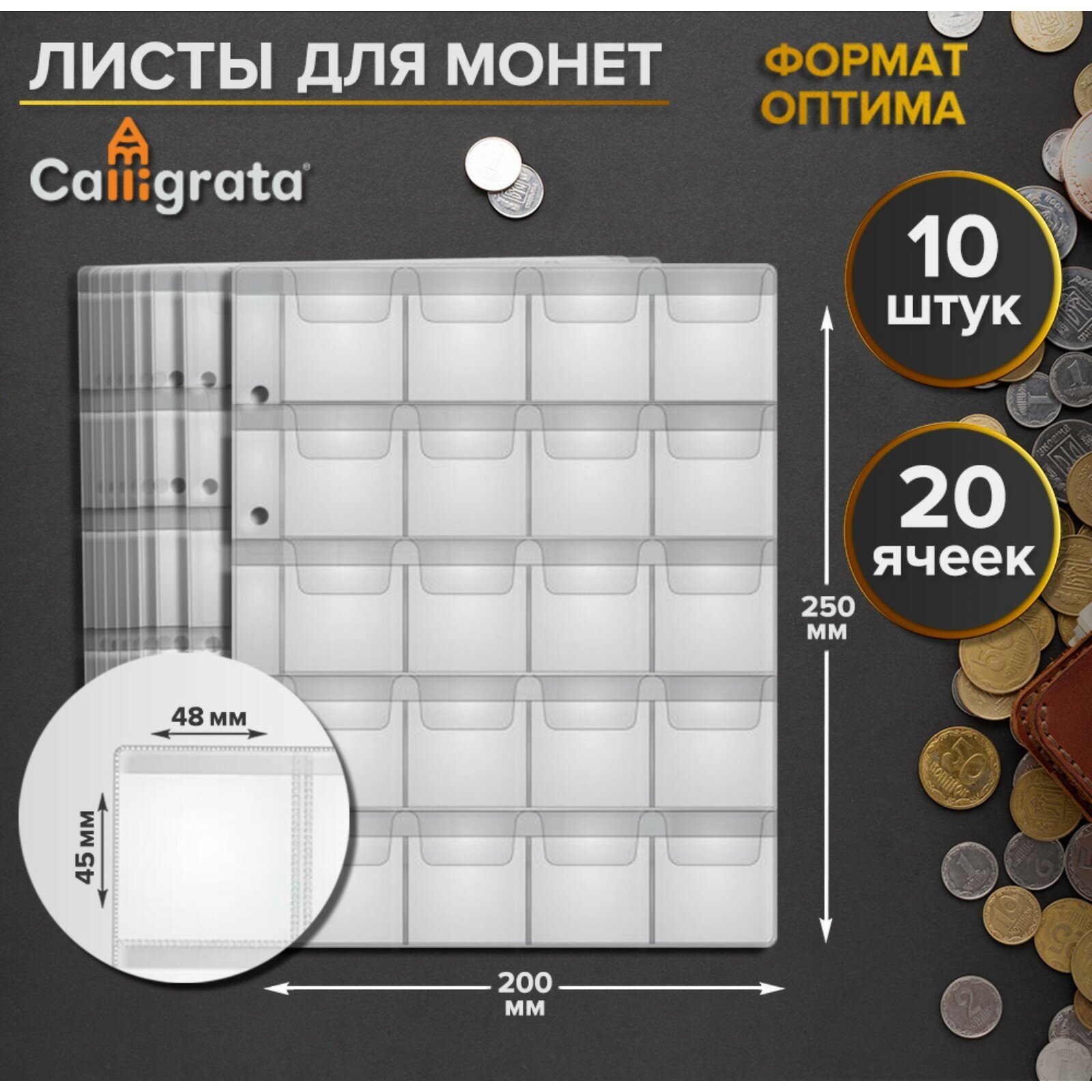 Набор листов для монет, формат «Оптима», 10 листов 200×250 мм, на 20 ячеек 45×48 мм