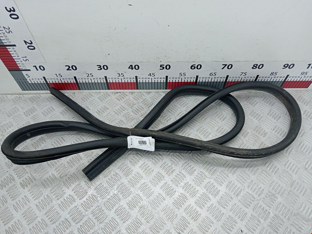 Уплотнитель двери Ford Focus 2 1534918 арт. 1931781
