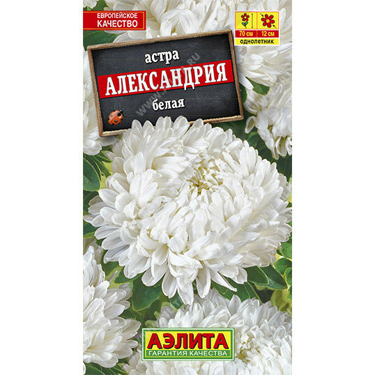 Астра Александрия белая 0,1г (Аэлита)