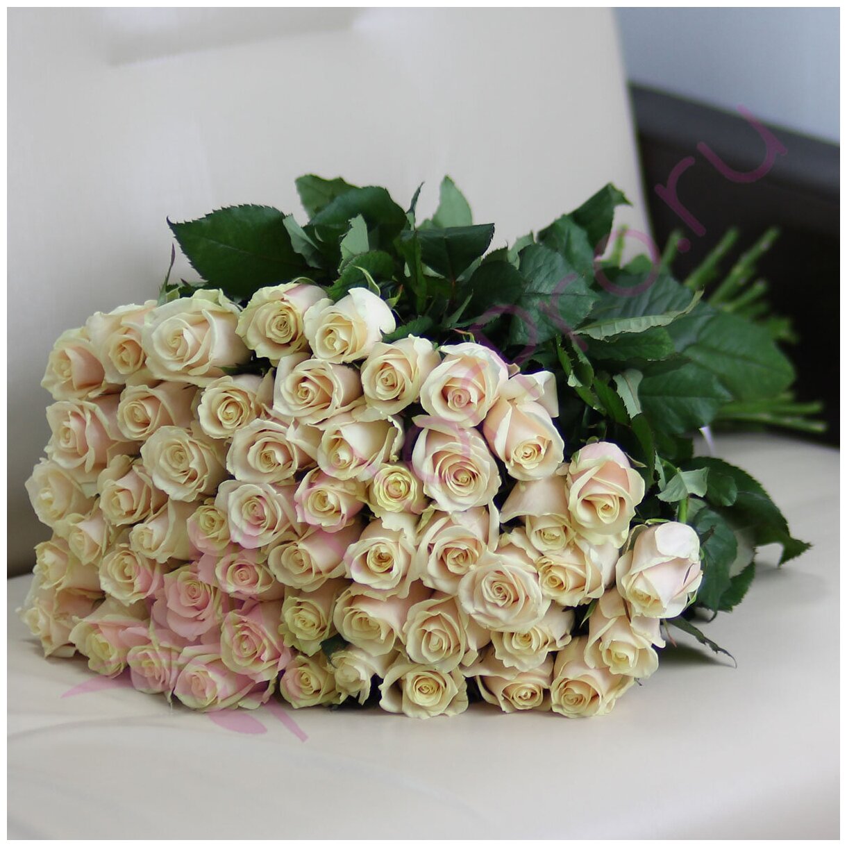 Цветы живые букет Flor-Pro Flowers из 51 кремовой розы Талея 50 см с атласной лентой