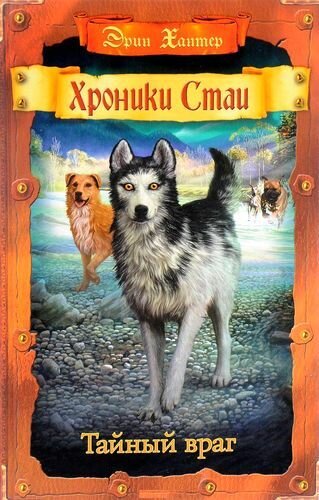 Тайный враг (Хантер Эрин)