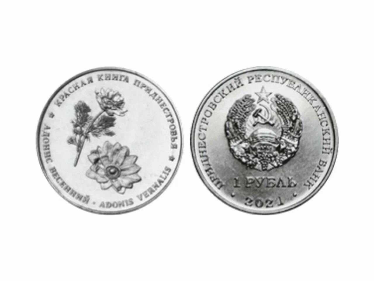 1 рубль Приднестровья 2021 г. Адонис весенний
