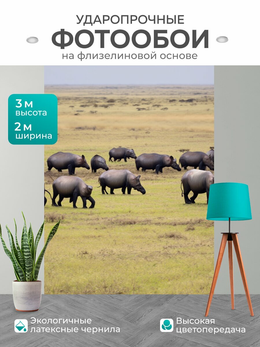 Фотообои моющиеся ударопрочные "Охота дикие животные в нередкой саванне, где китобои ловят мелкую рыбу, а охотники потирают руки в ожидании веселья" 200x300 см. флизелиновые на стену