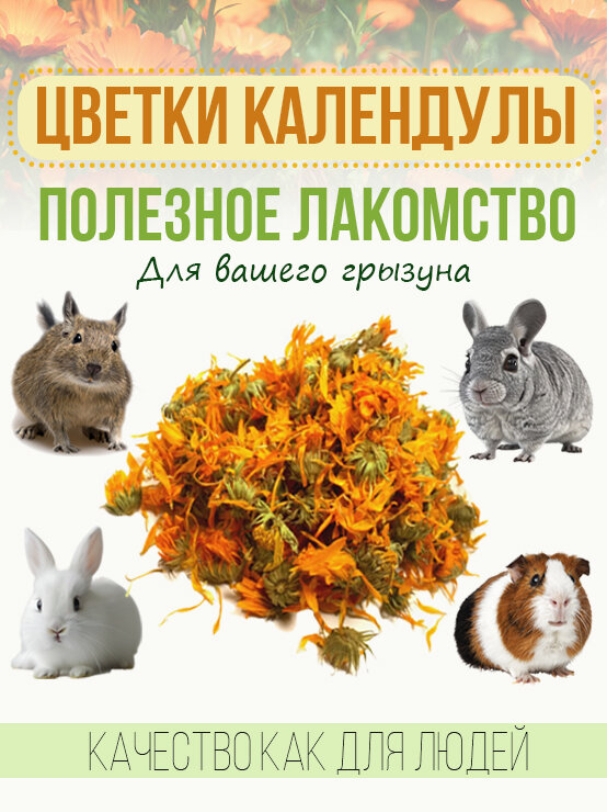 Цветки Календулы для грызунов/ Лакомство для шиншилл, кроликов, морских свинок и дегу, 50г