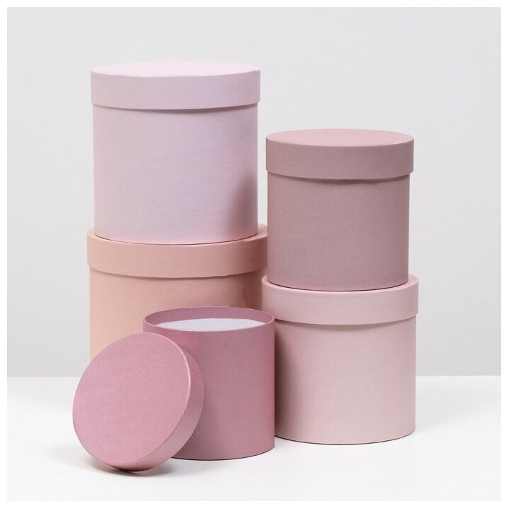 Набор круглых подарочных коробок 5 в 1 «Пудра», 20×20×20‒13.5×13.5×13.5 см
