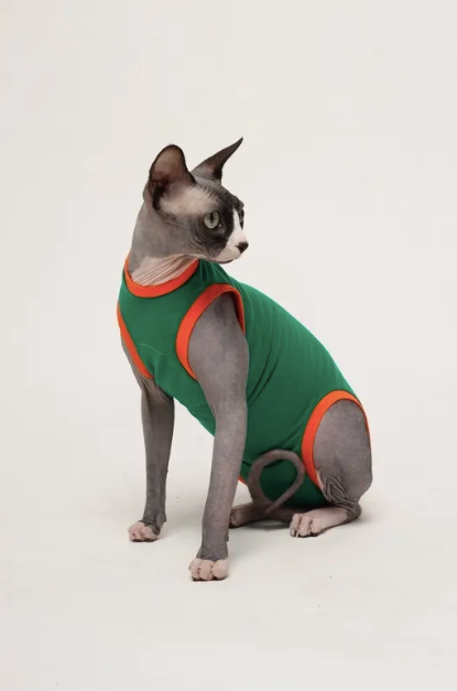 Послеоперационное боди (попона) для котят 4мес