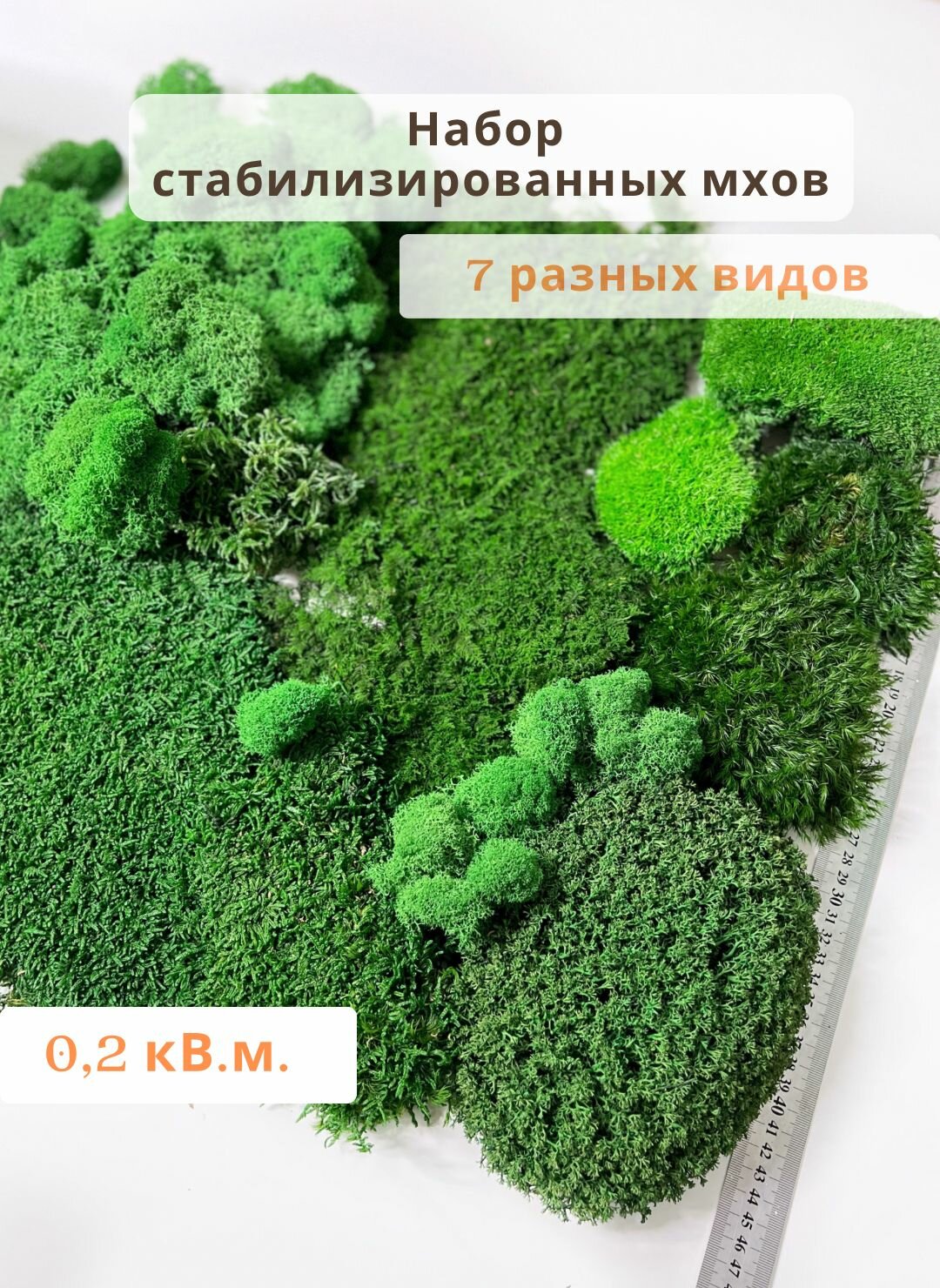 Стабилизированный мох, 0.2 кв. м. набор микс мхов, 7 видов