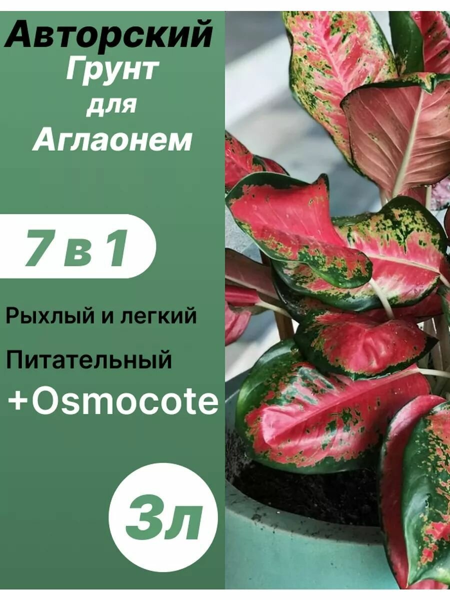 Грунт для Аглаонем 3л готовый