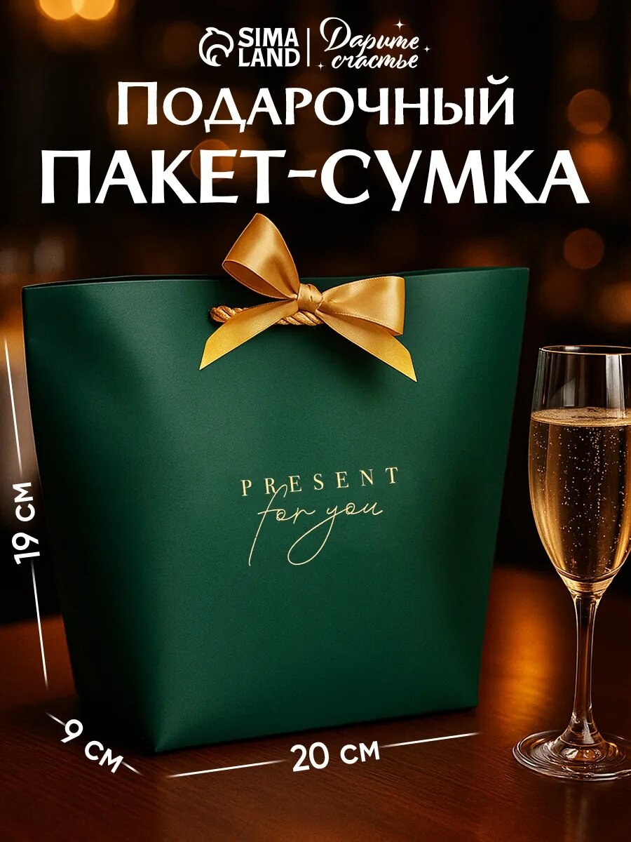 Пакет подарочный с бантом "Present for you", 19 х 20 х 9 см, зеленый, лента в комплекте, на Новый Год