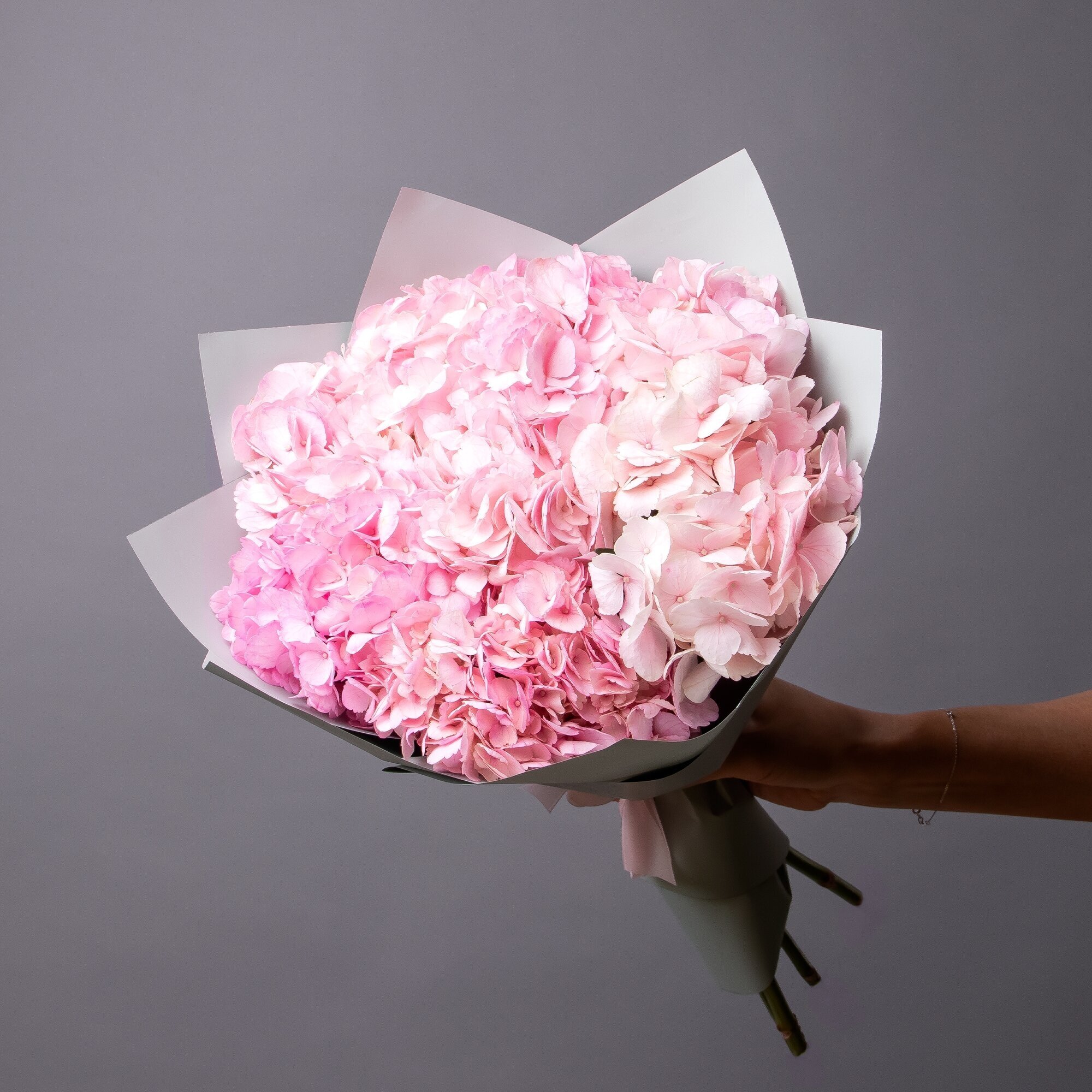 Букет Гортензия "Скай Пинк" 5 шт Высота 60 см в коробке и аквабоксе от "Простоцветы"