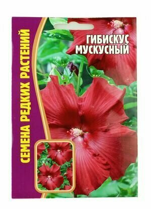 Семена Гибискуса Мускусного (5 семян)
