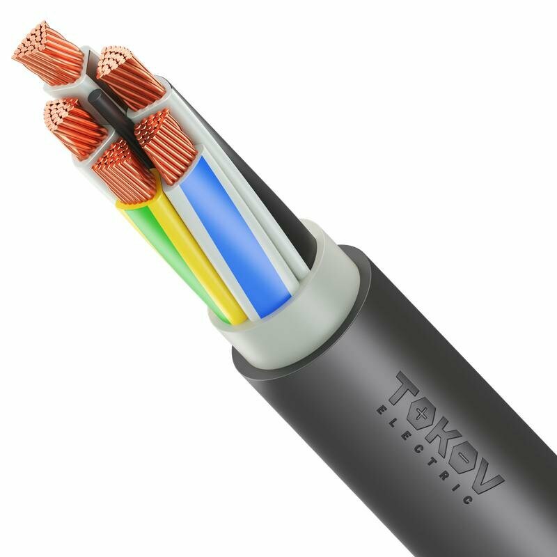 Кабель TOKOV ELECTRIC ВВГнг(А)-LSLTx 5х50 МС (N PE) 1кВ (м), TOKOV ELECTRIC КПП УТ000030611 (1 м.)