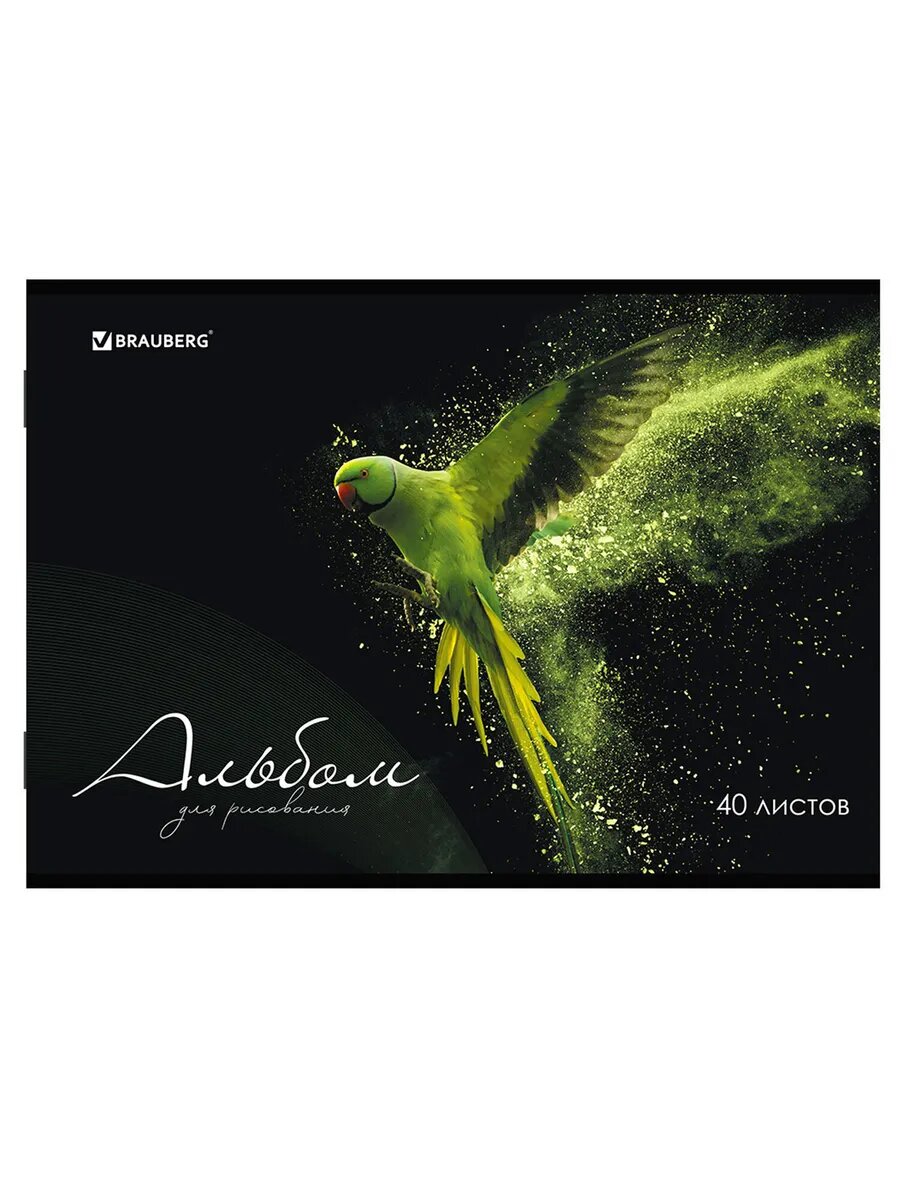 Альбом для рисования 1 шт. А4, 40 л, скоба, 205х290 мм