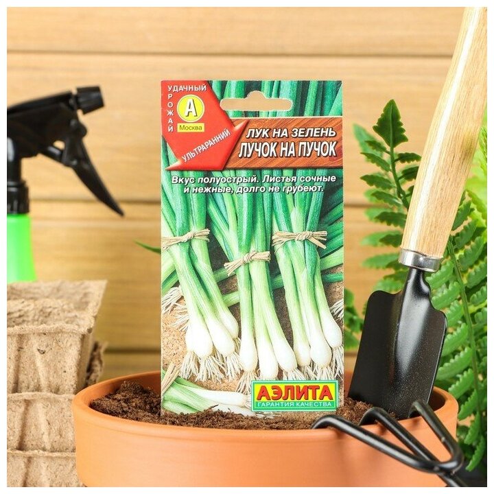 Семена Лук на зелень "Лучок на пучок", 0,5 г
