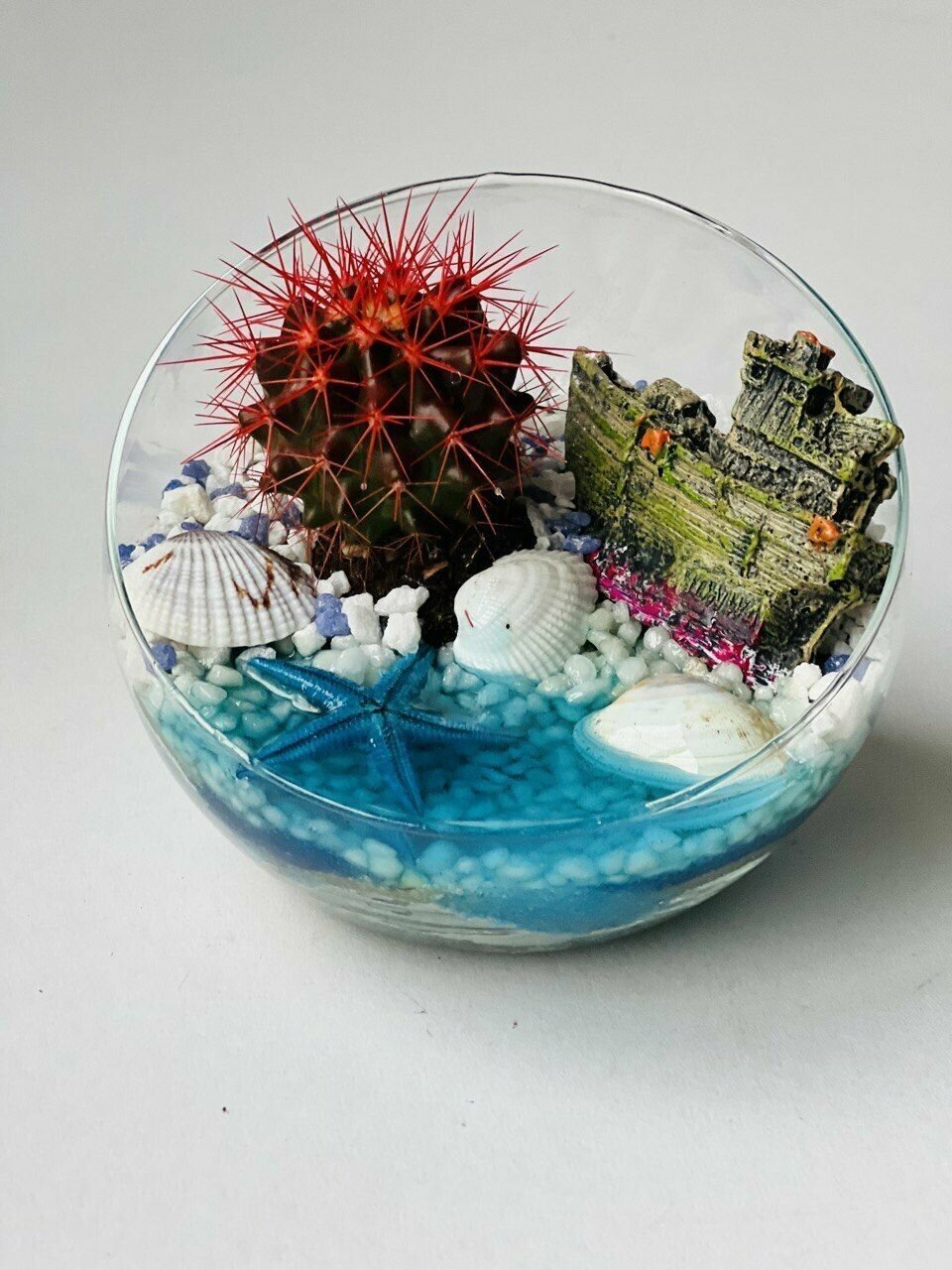Флорариум "Океан" 17*17 / Мини садик в вазе с водоёмом / Комнатное растение кактус