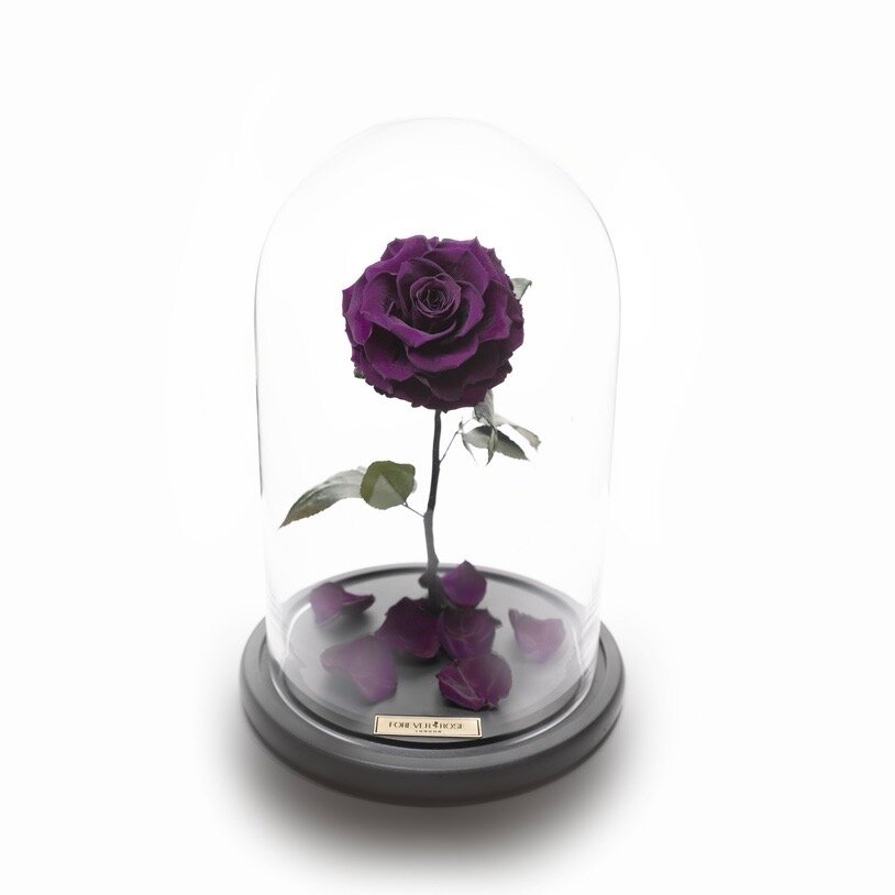 Темно-фиолетовая роза в колбе "Люкс" в подарочной коробке с вау-эффектом /32 см/Живет 5 лет