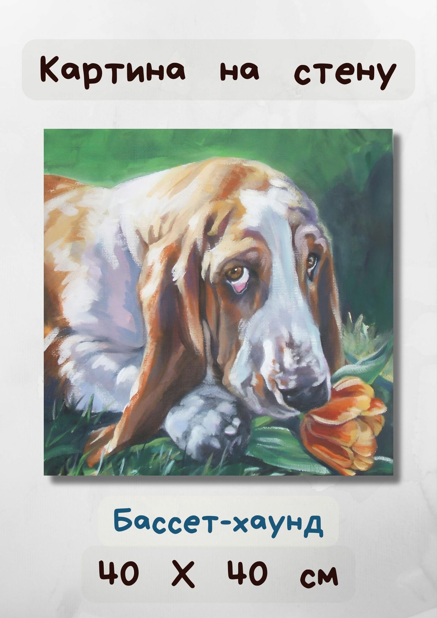 Картина с собакой "Бассет-хаунд" на холсте в рисованном стиле 40х40