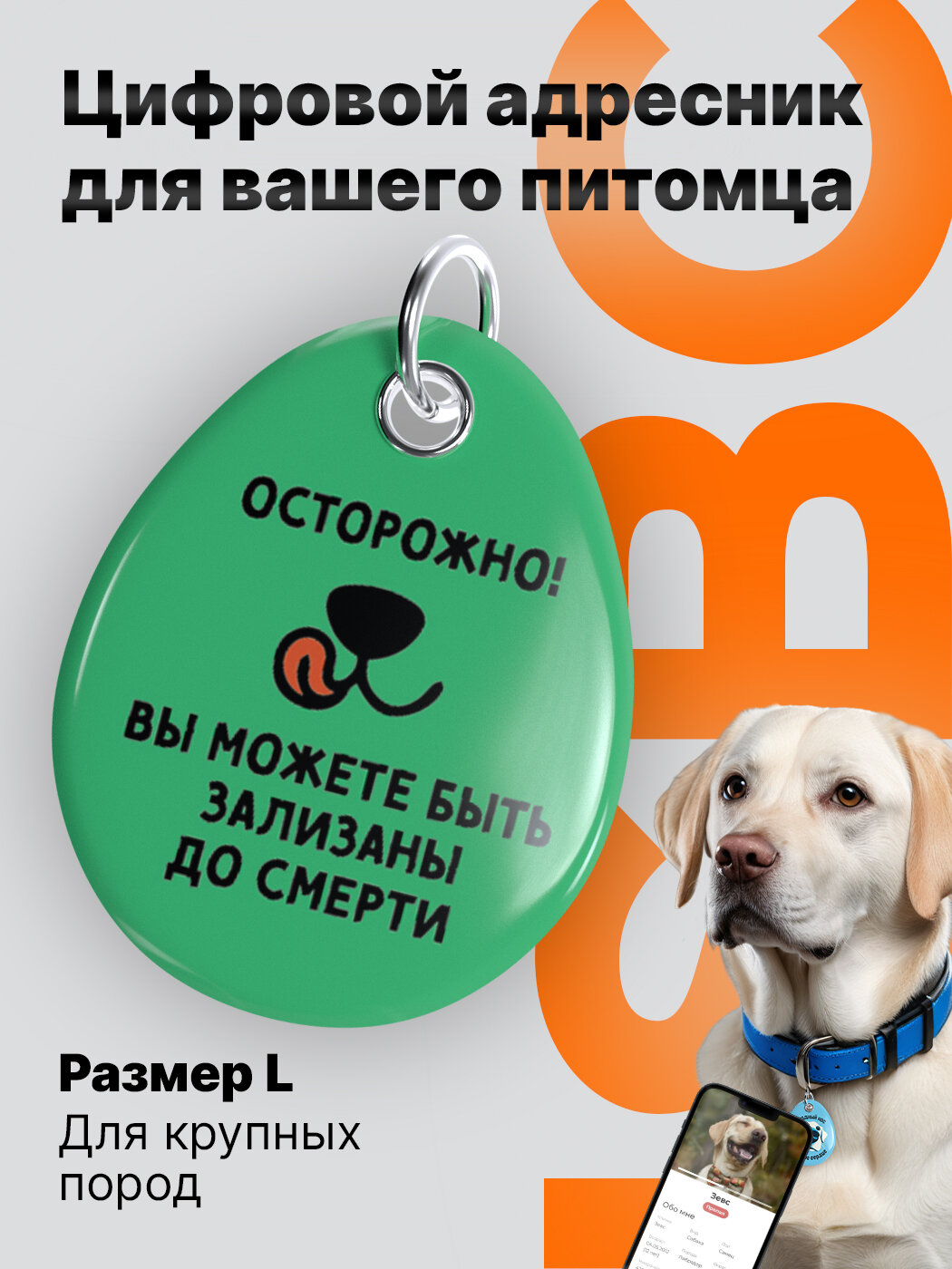 Адресник для собак средних и крупных пород от ISBC с NFC и QR-кодом, Вы можете быть зализаны до смерти, зелёный