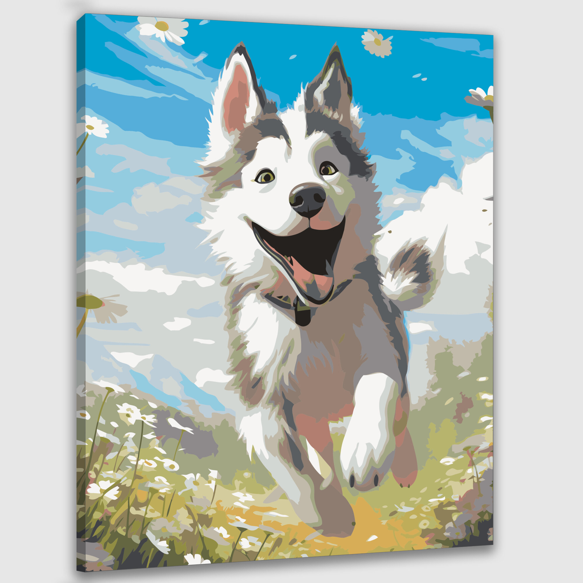 Картина по номерам 40x50 см, хаски, игривая, поле с высокой травой, скачущая, мягкий ветерок, свобода, счастье