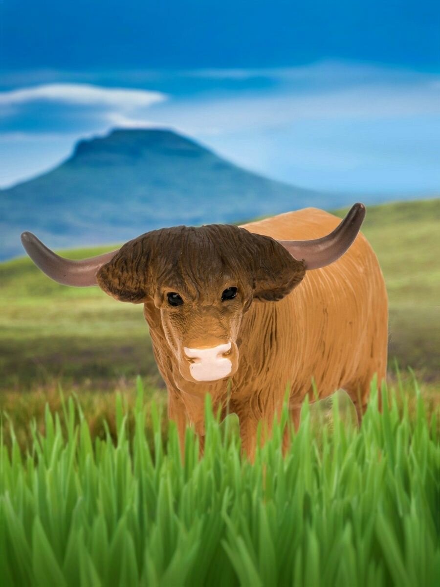 TERRA BY BATTAT Фигурка Шотландская высокогорная корова Хайленд коллекционная игрушка для детей от 3 лет