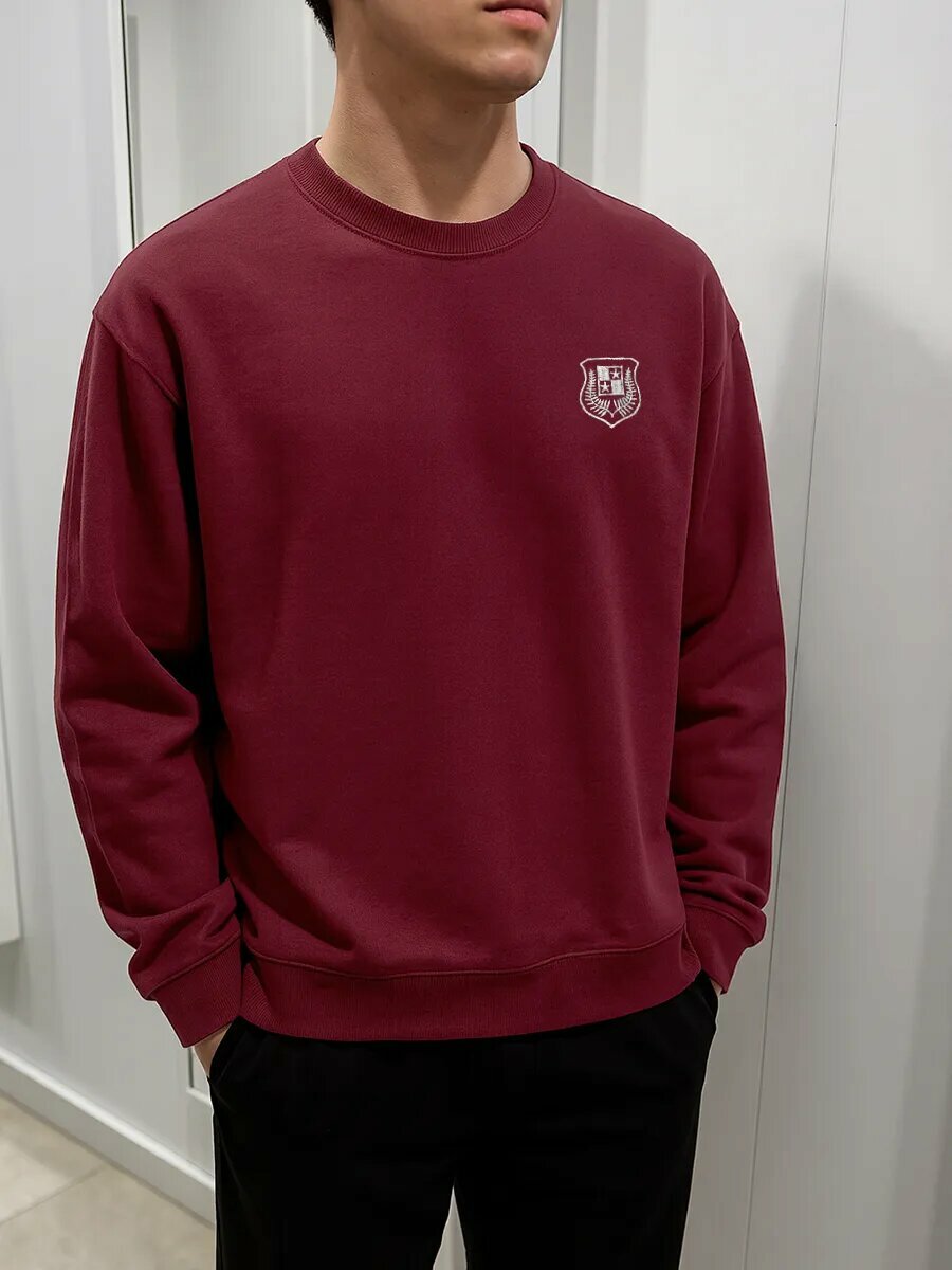 Свитшот для мужчин