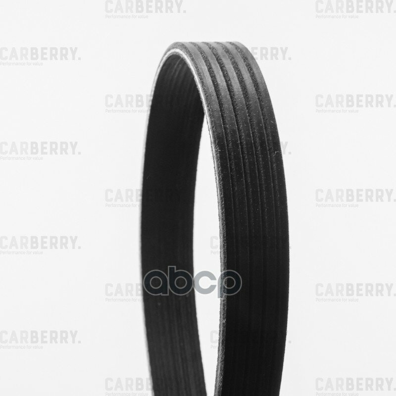 Ремень поликлиновой Universal CARBERRY арт. 5PK1163