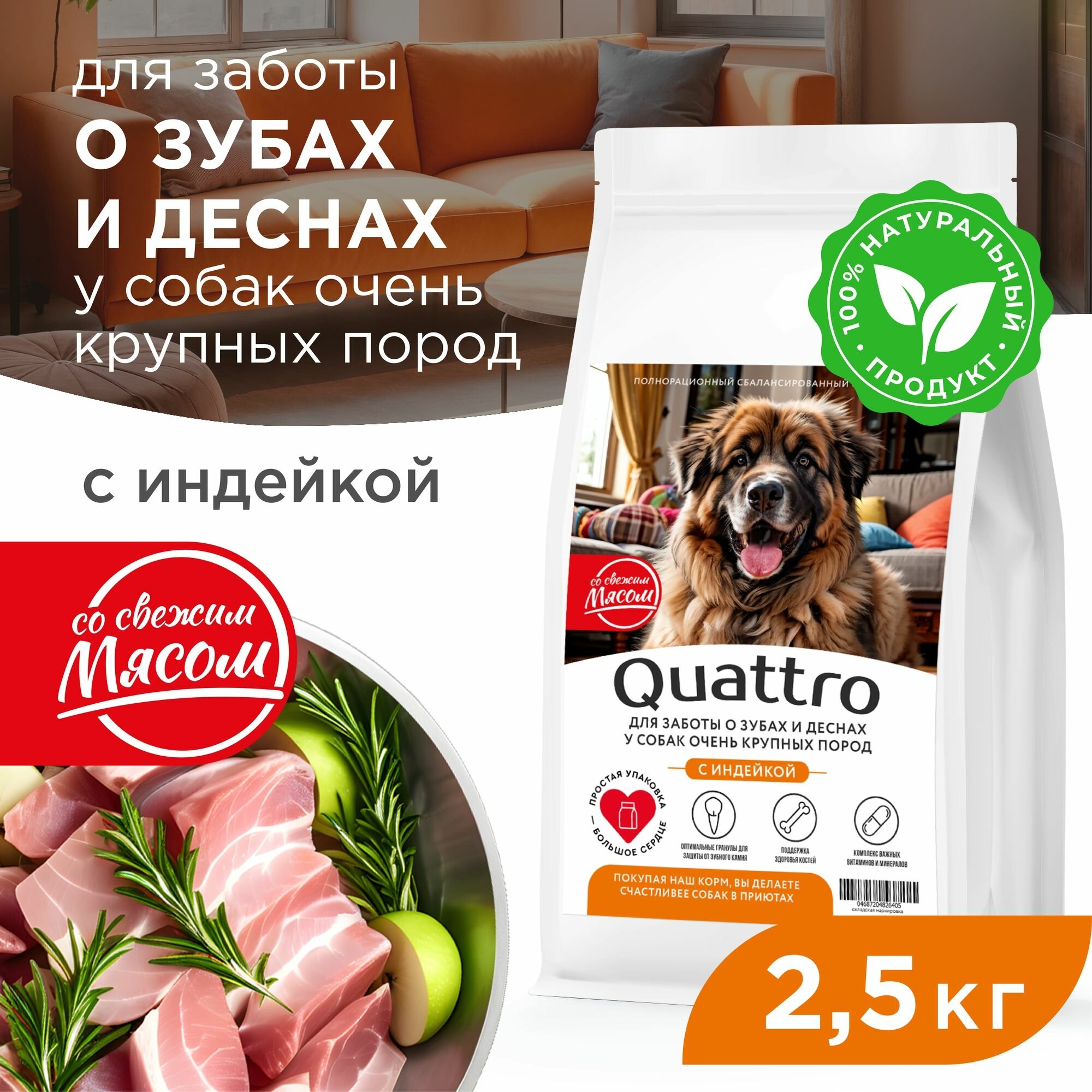 Корм сухой для взрослых собак очень крупных пород, премиум полнорационный комплекс, для заботы зубов и десен, с индейкой, 2,5 кг, QUATTRO