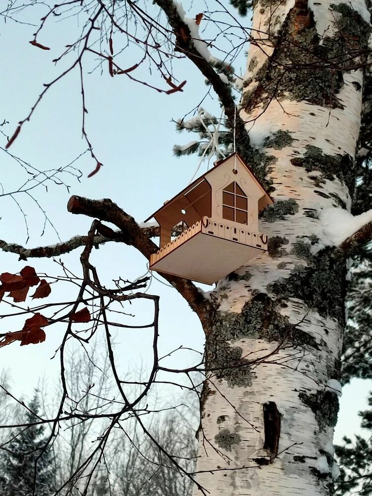 Кормушка для птиц деревянная уличная скворечник, цвет натуральный