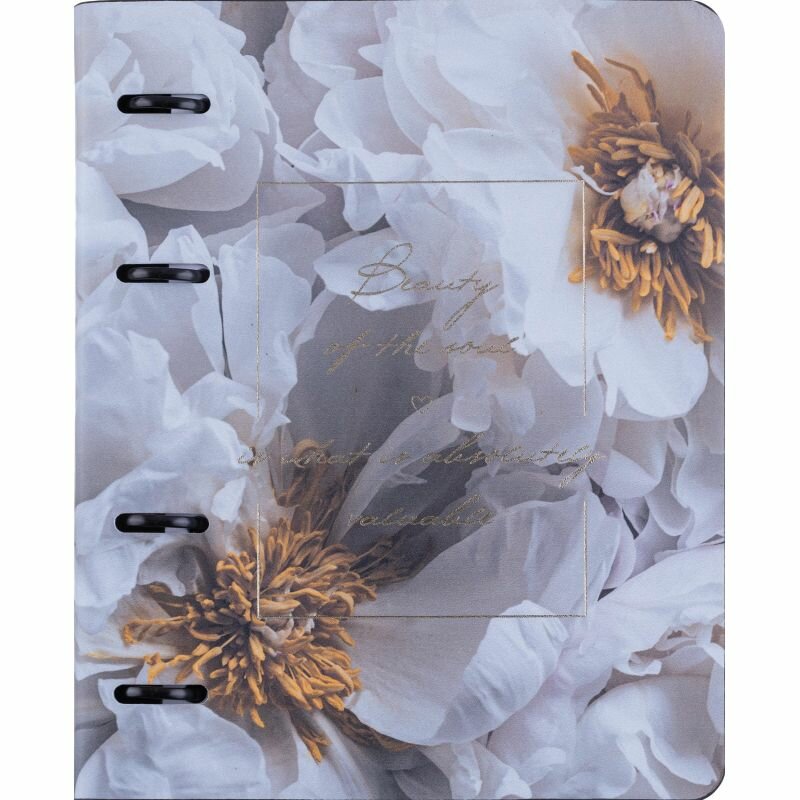 Infolio Study Тетрадь общая Beauty, цветы, 175 х 212 мм, 120 листов