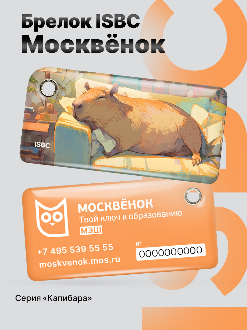 Брелок Москёнок Капибара на отдыхе, Электронная карта школьника, ISBC