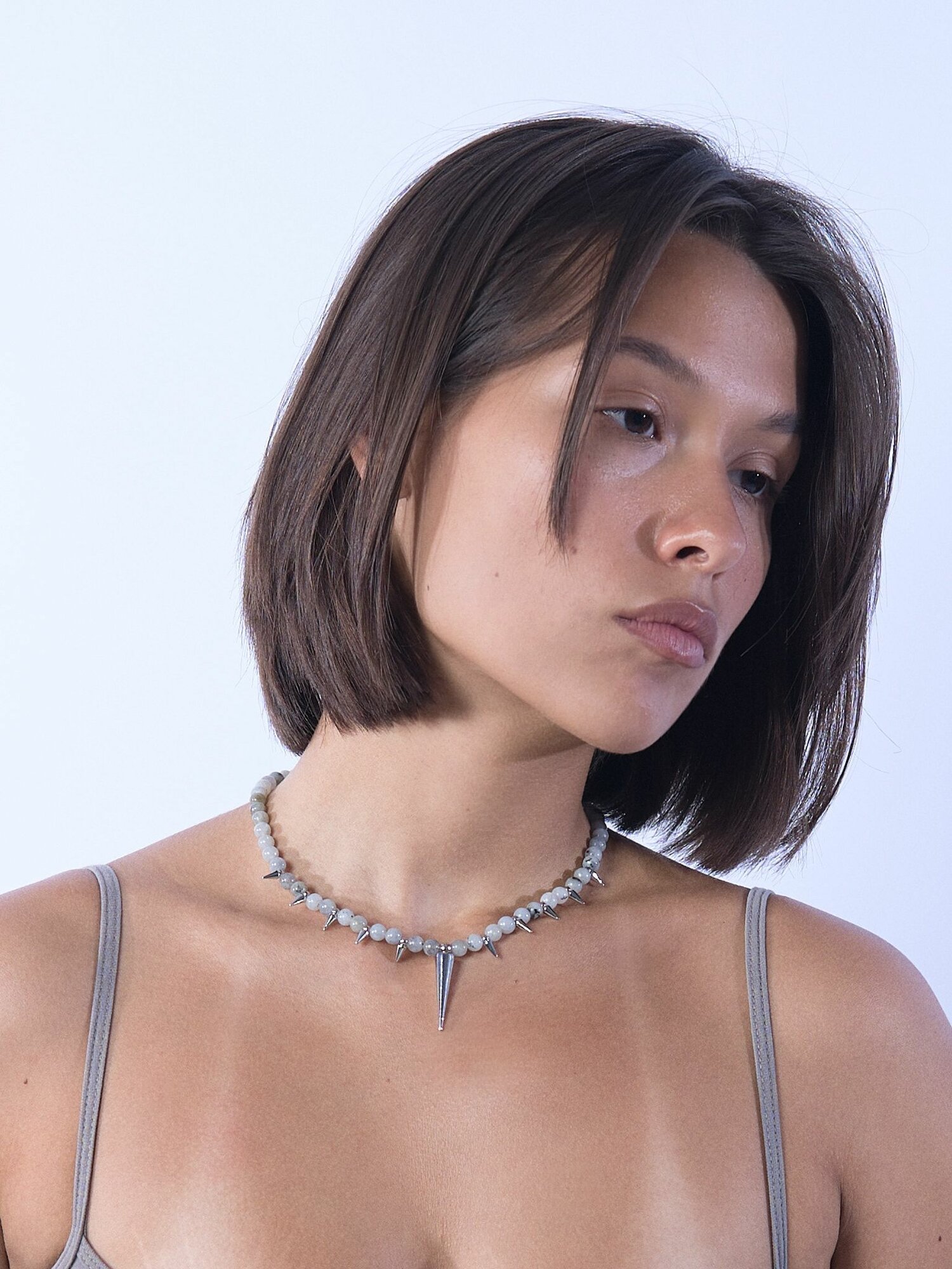 Колье, лабрадор