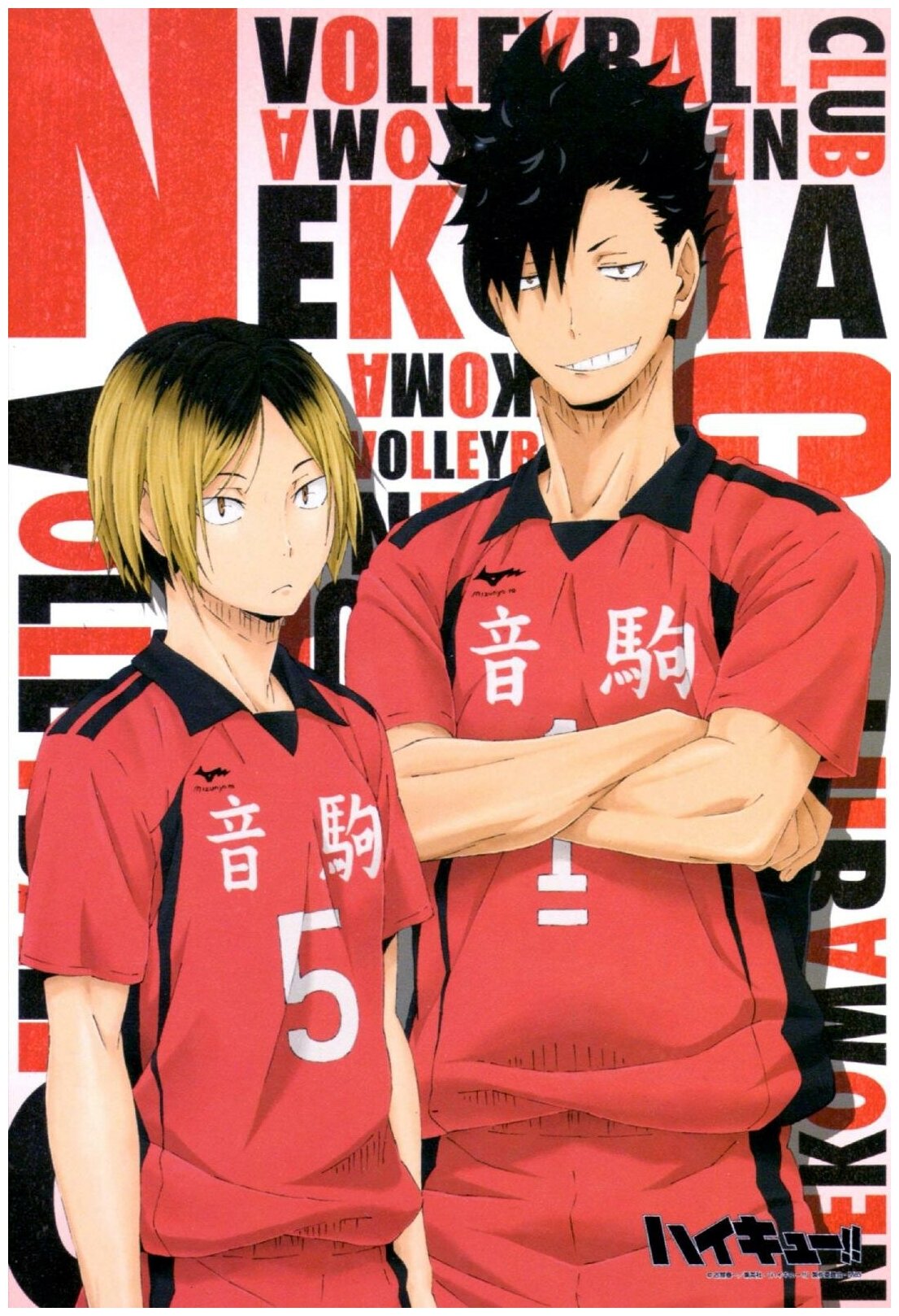 Постер / Плакат / Картина Аниме Волейбол - Нэкома 60х90 см в подарочном тубусе