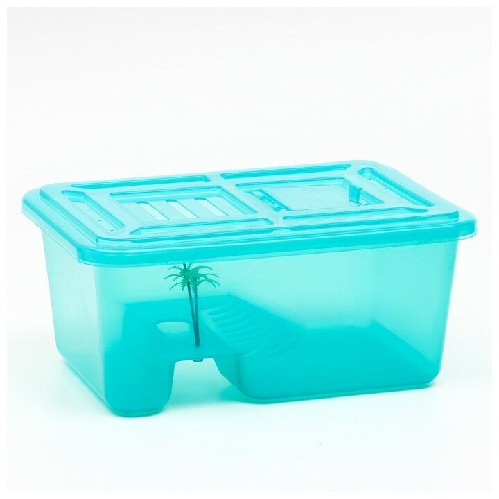 Отсадник для черепах "Озеро" с крышкой, 33 х 23,5 х 14 см