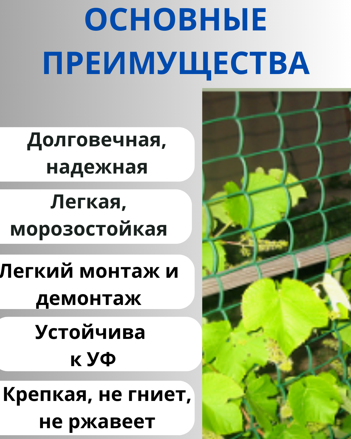 Сетка садовая пластиковая для винограда яч.90х95 мм рулон 1х10м Хаки ...