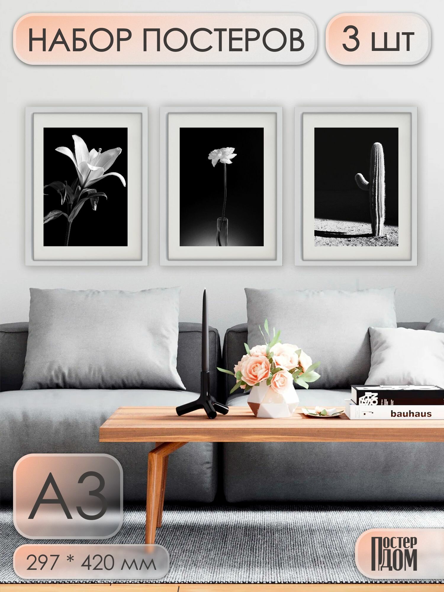 Постеры интерьерные на стену эстетика черно-белого стиля