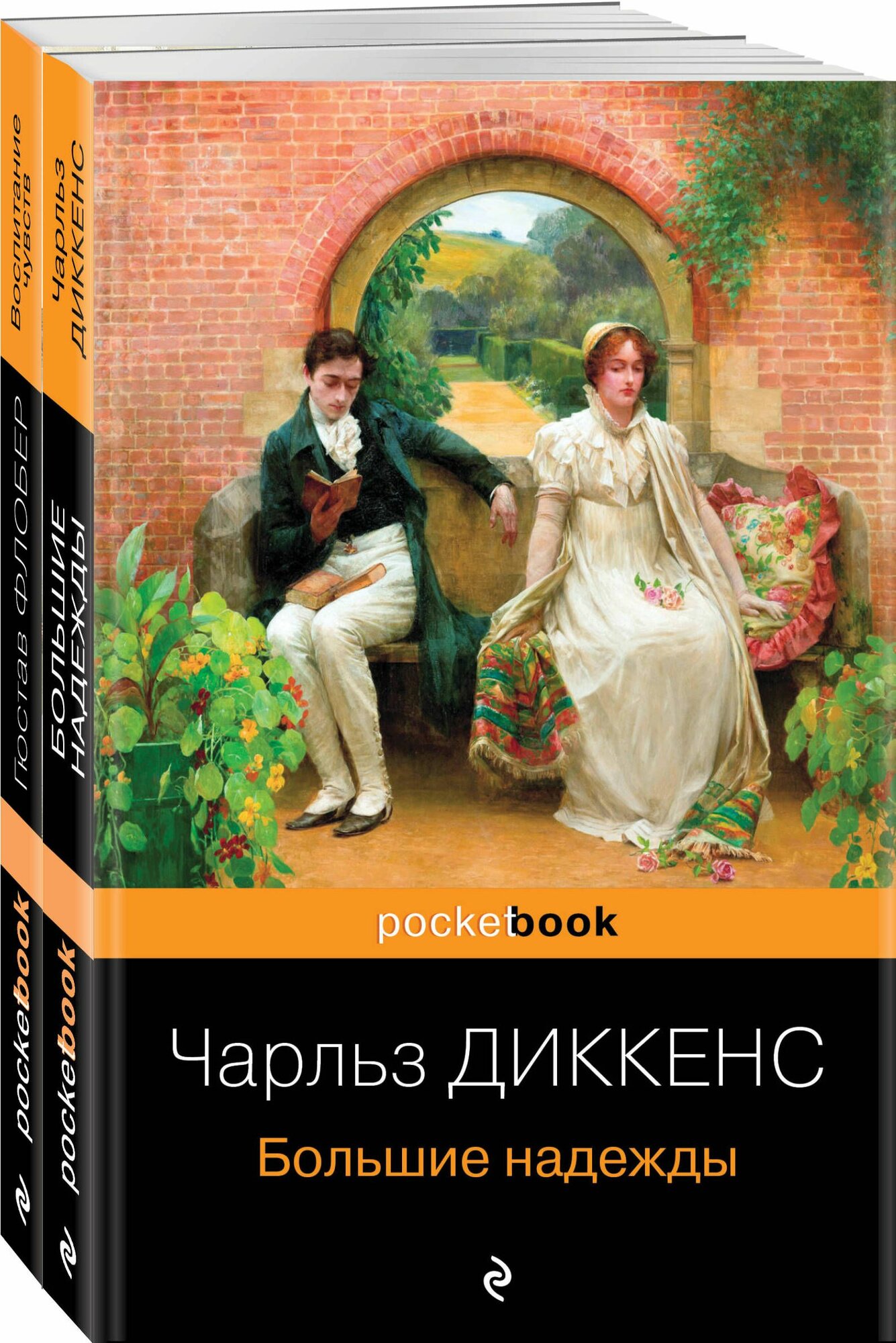 Несбывшиеся надежды : Большие надежды, Воспитание чувств (комплект из книг 2 книг)