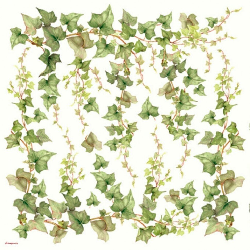 #DFT064 Салфетка рисовая 50 x 50 см Stamperia